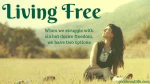 Living Free: When We Struggle with Sin but Desire Freedom, We Have Two ...